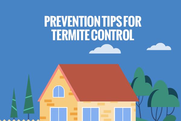 Prevention Tips for Termite Control [infographic] | Canady’s Termite ...