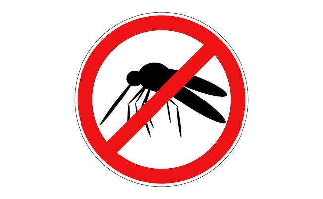 Why Mosquito Control is Important | Canady’s Termite & Pest Control