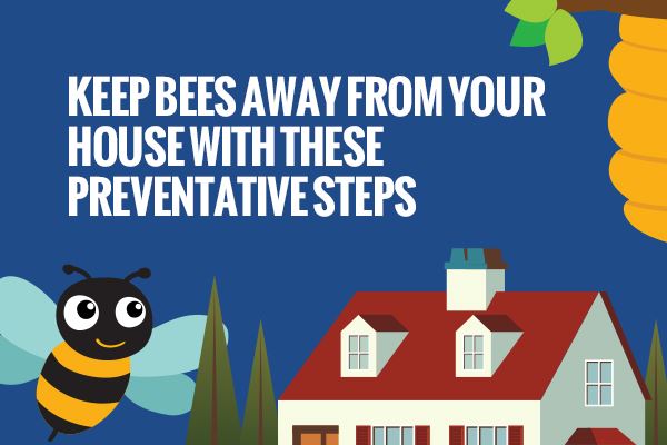 Keep Bees Away from Your House with These Preventative Steps ...